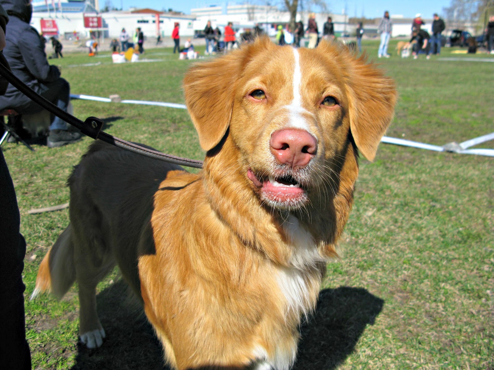 Tara Tolleri: Ensimmäinen match show 1.5.12 (EH)