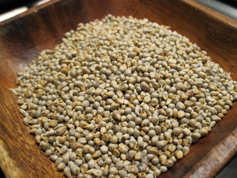 Ilan ou millet ~ Dibe white