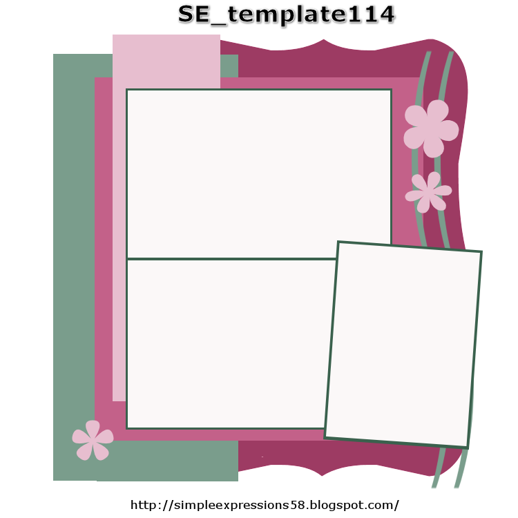 Simple Expressions: SE_template114