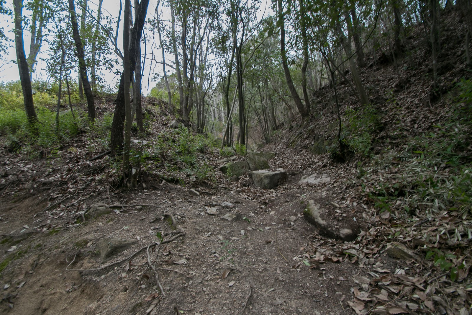 Niitakayama Castle -Intellectual pillar of Mouri clan (2)- | Japan ...