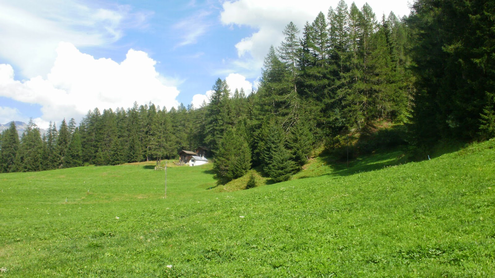 EXCURSII CU BICICLETA: Elvetia