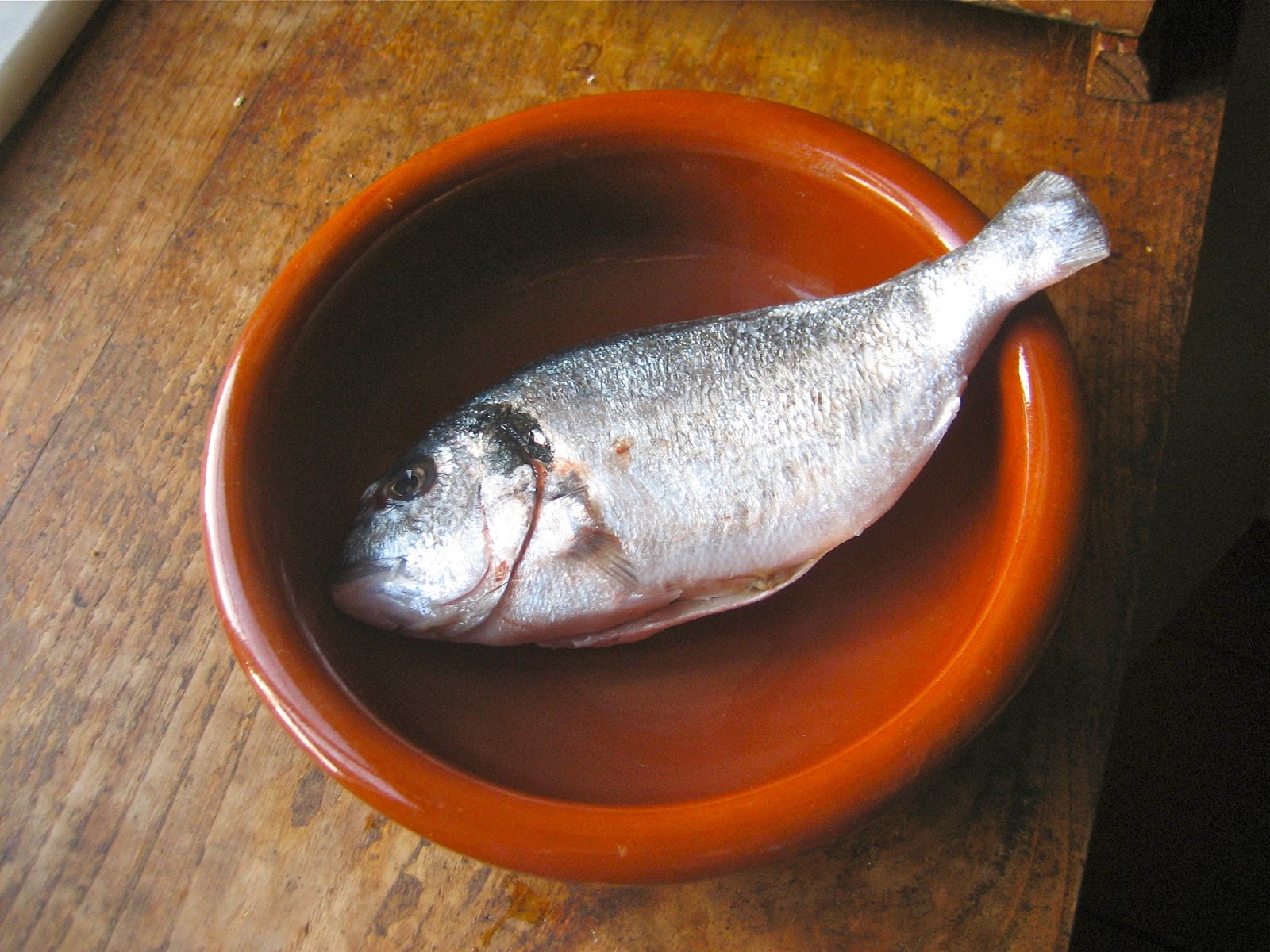 Metis Meets Mittington: Cookbook: Fresh fish with a grain of salt