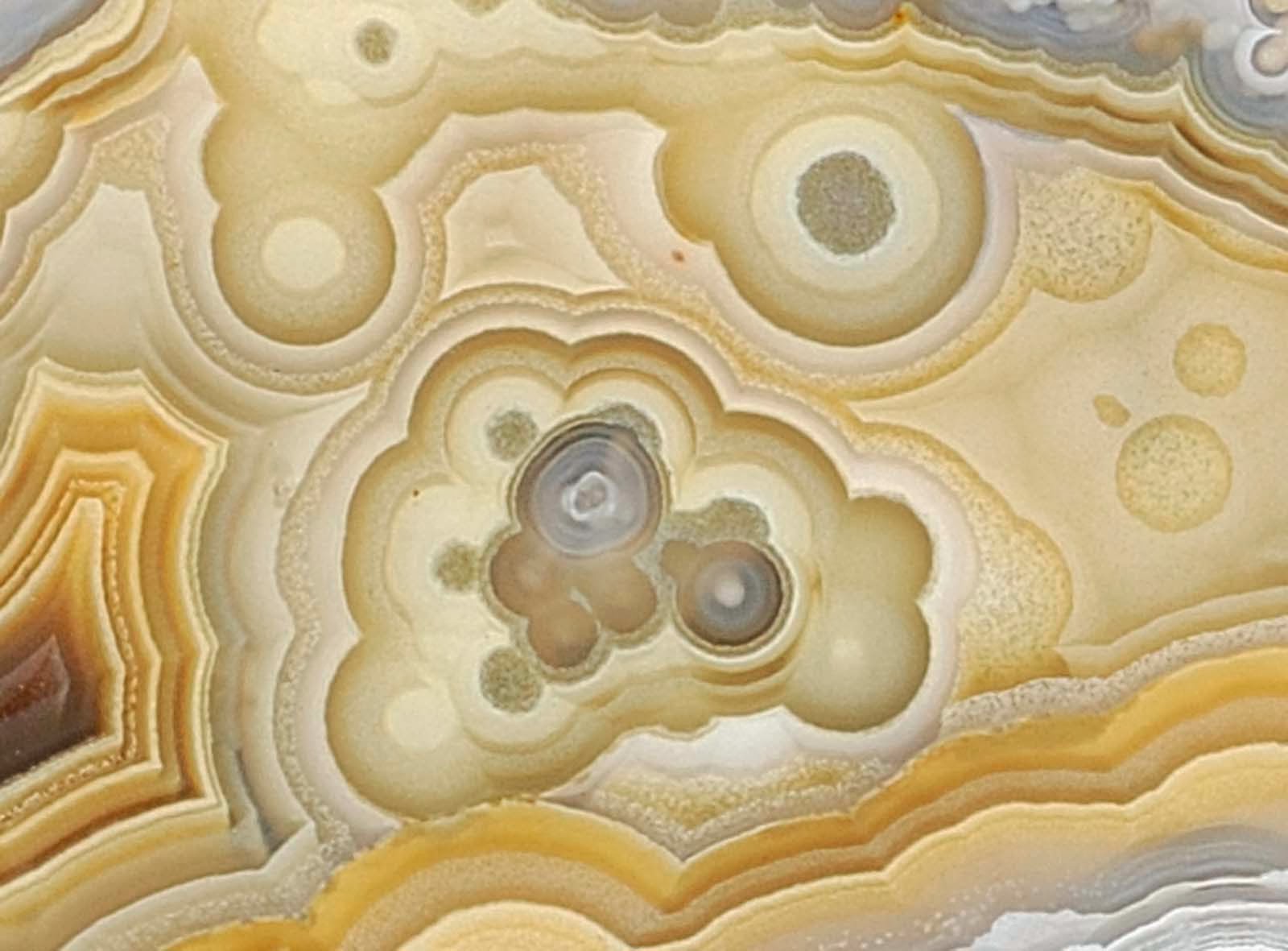 The Agatelady: Adventures and Events: More Close Up Agate Photos