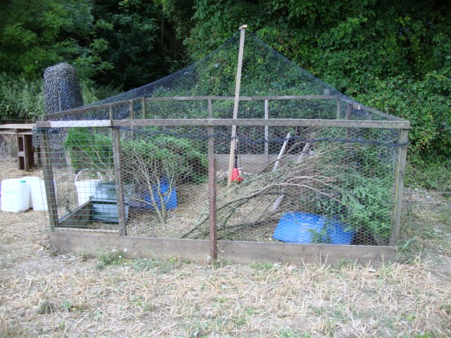 Red Eye Fox: Partridge Calling Pen