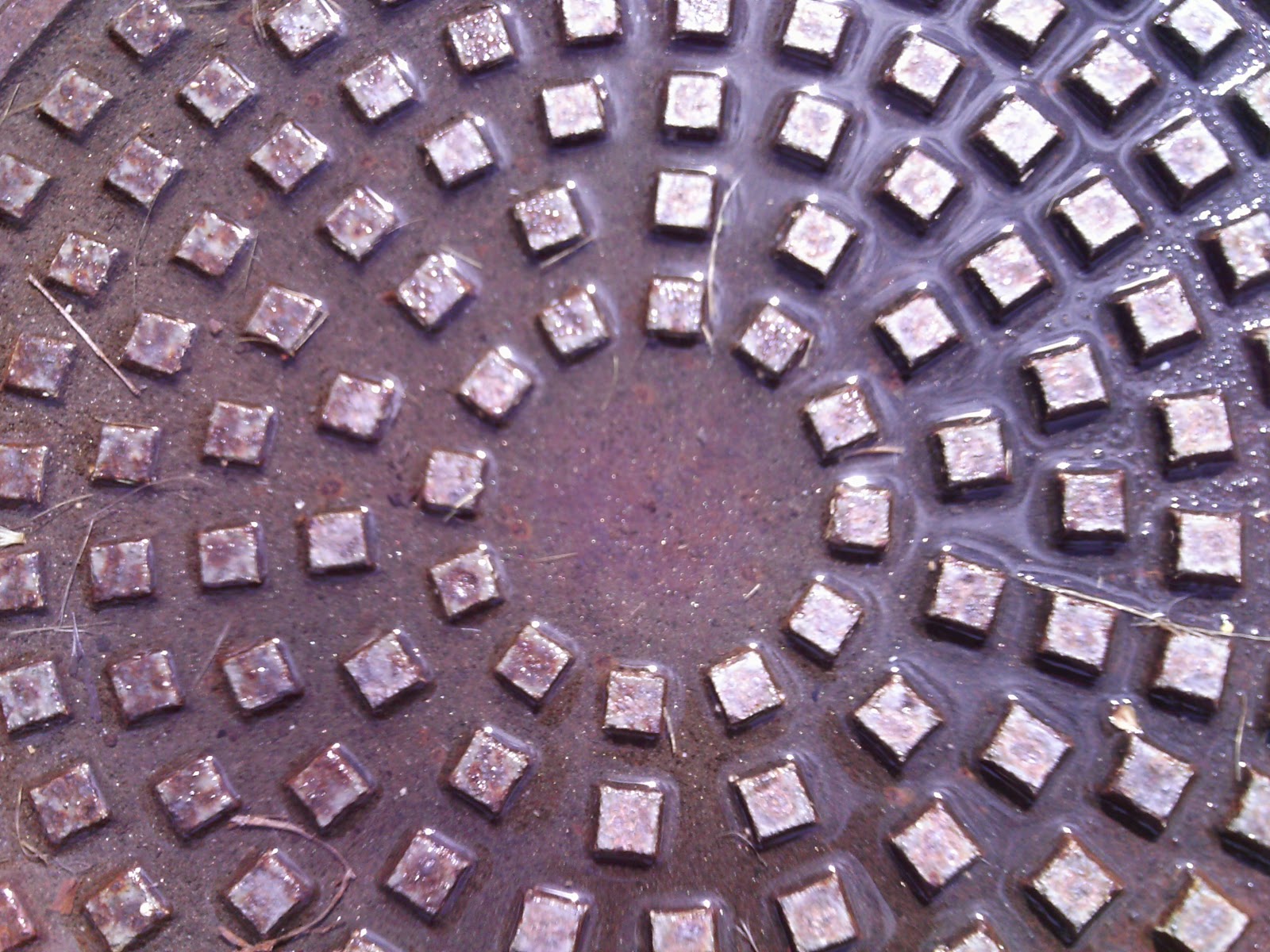 Antonio F Photography