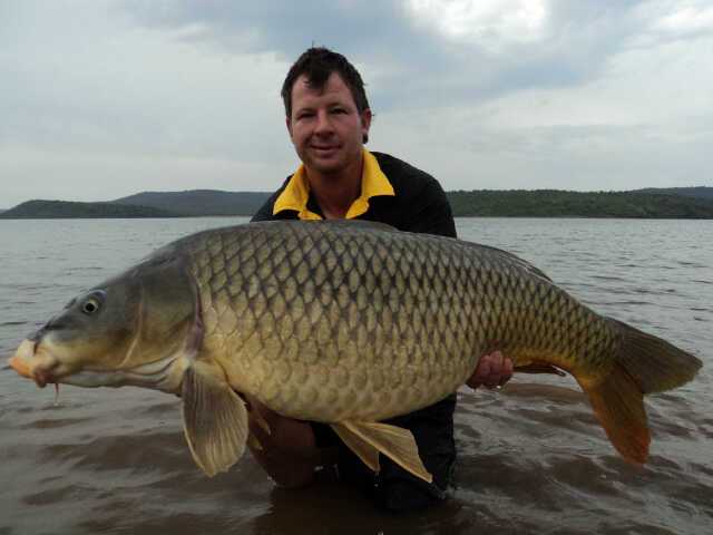 specimen angling in south africa: specimen carp angling in south africa
