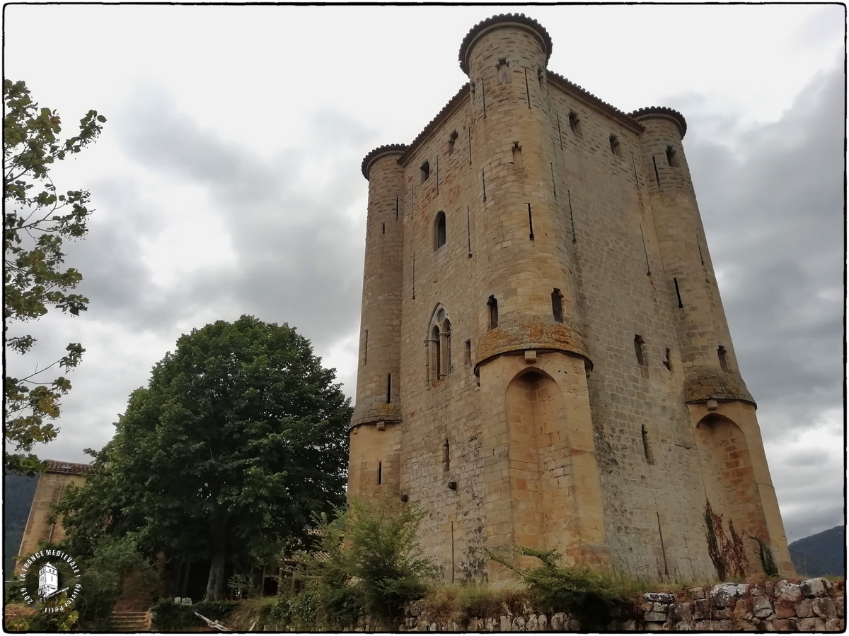 LA FRANCE MEDIEVALE: ARQUES (11) - Château-fort
