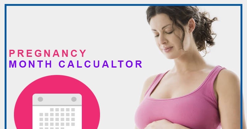 Confirm All Your Important Dates with a Pregnancy Month Calculator