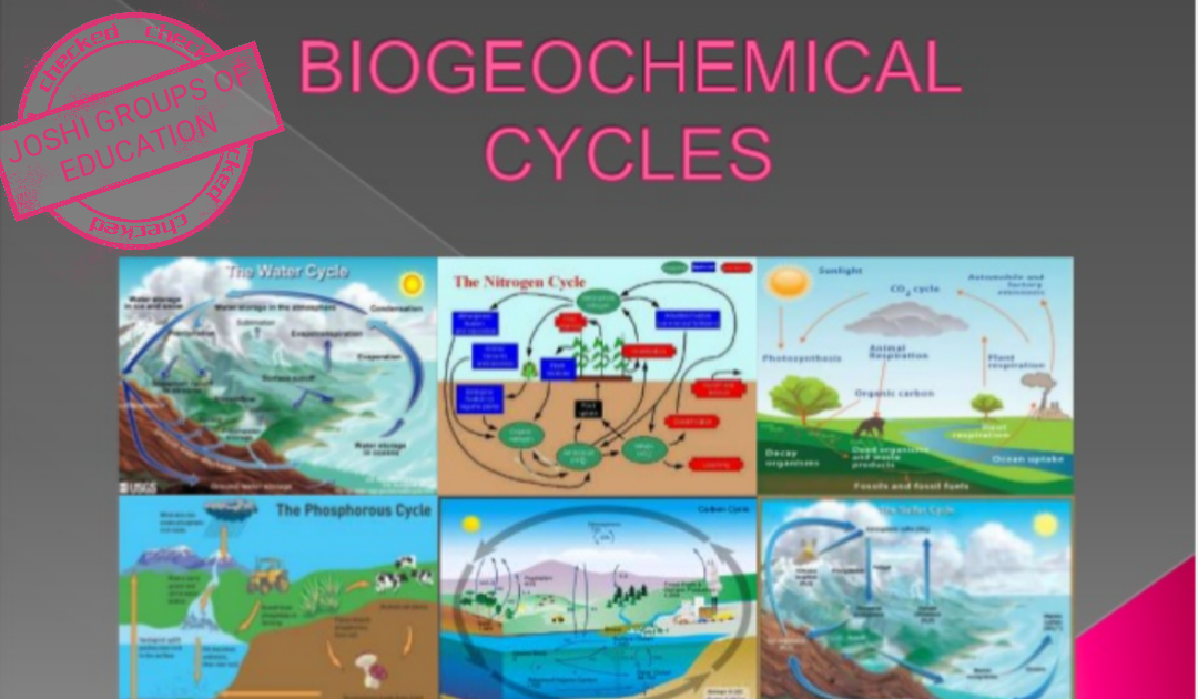 Types of Biogeochemical Cycles