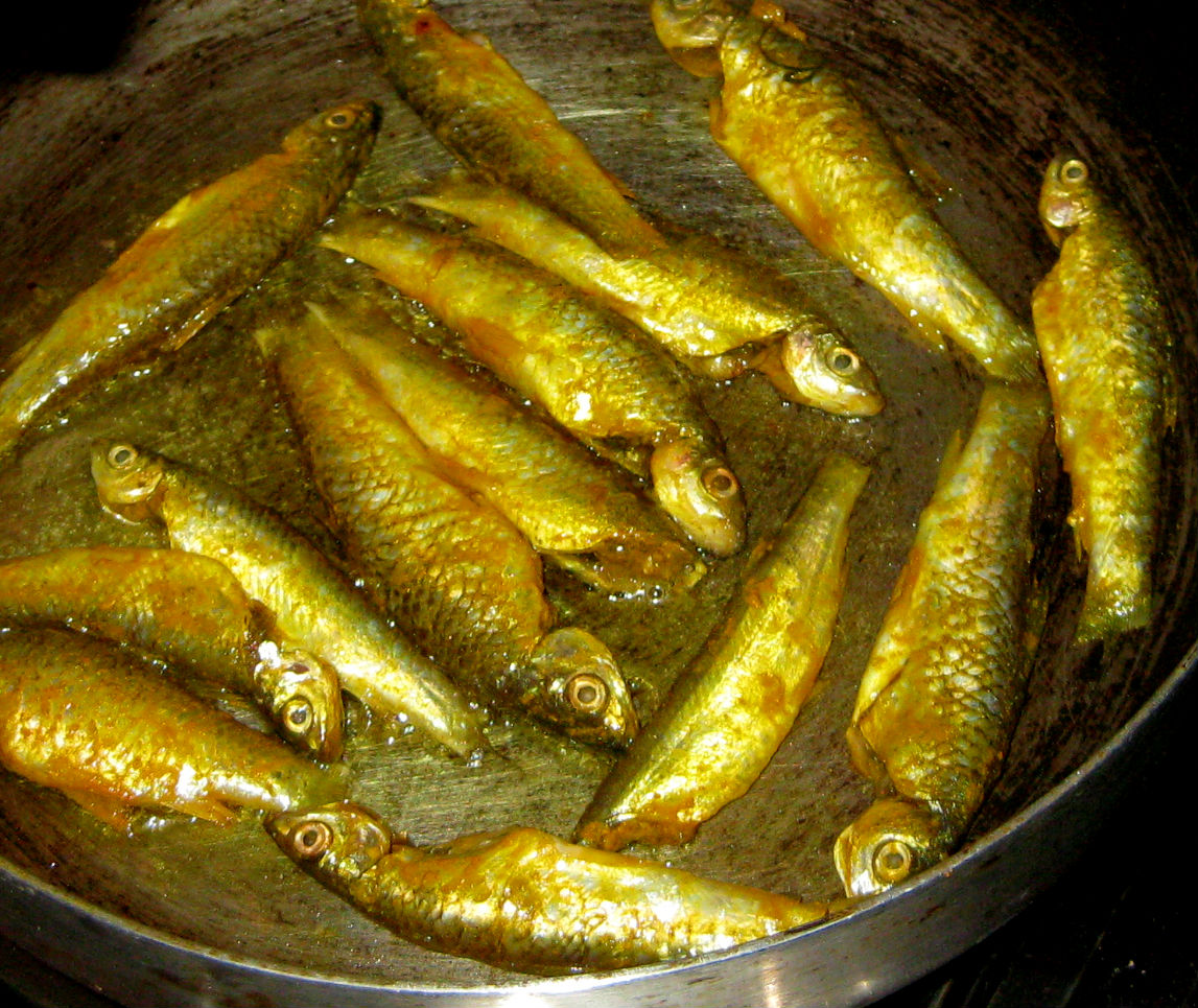 Odisha Cuisine: Small Fishes Fry (Pohala Macha Bhaja)
