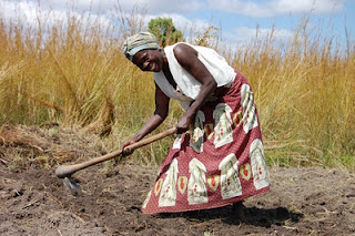 DAILY GRACE: WE WORK FOR GOD NOT FOR MAN