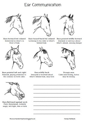 Iman's Home-School: Horses Notebook & Activity Pack