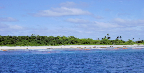 JFC's Birding: POLYNESIAN & PITCAIRN ISLAND TRIP REPORT 4TH JUNE 2006 ...