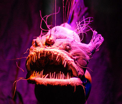 unique and interesting: Spooky Deep-Sea Creatures