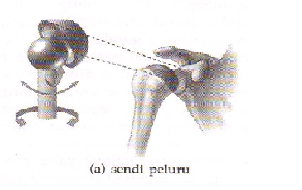 Materi US dan UN SMPK 6 PENABUR: Materi Biologi