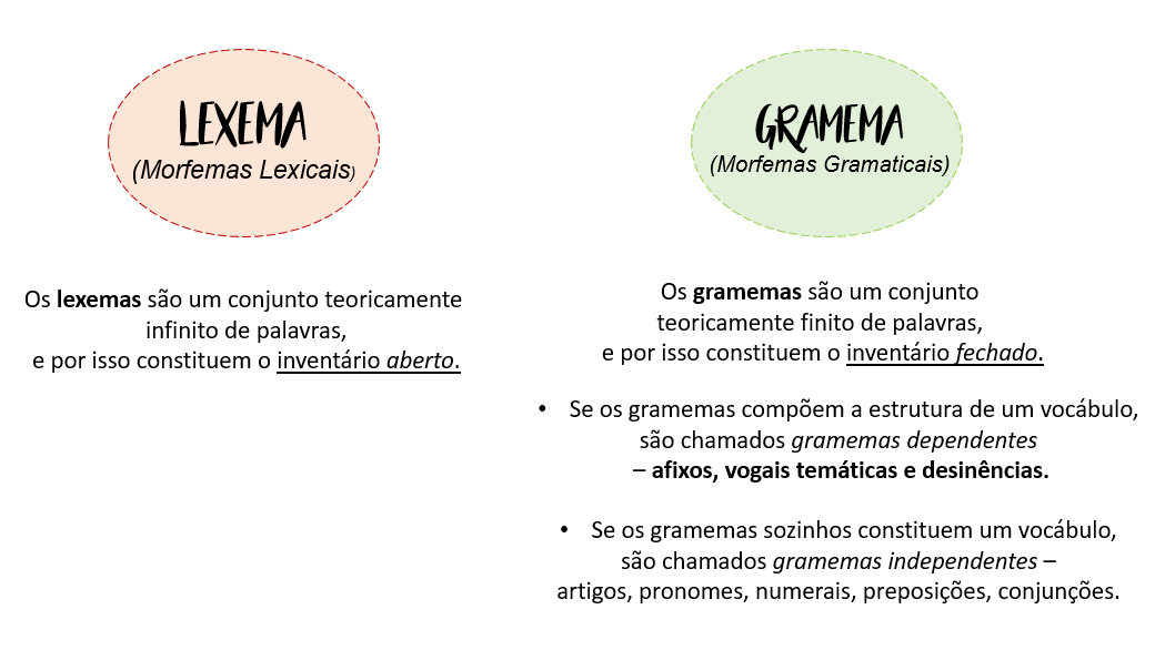 Morfossintaxe: Introdução a Morfossintaxe – Aula 1