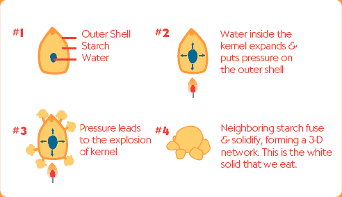 Every Day Is Special: January 19 – National Popcorn Day