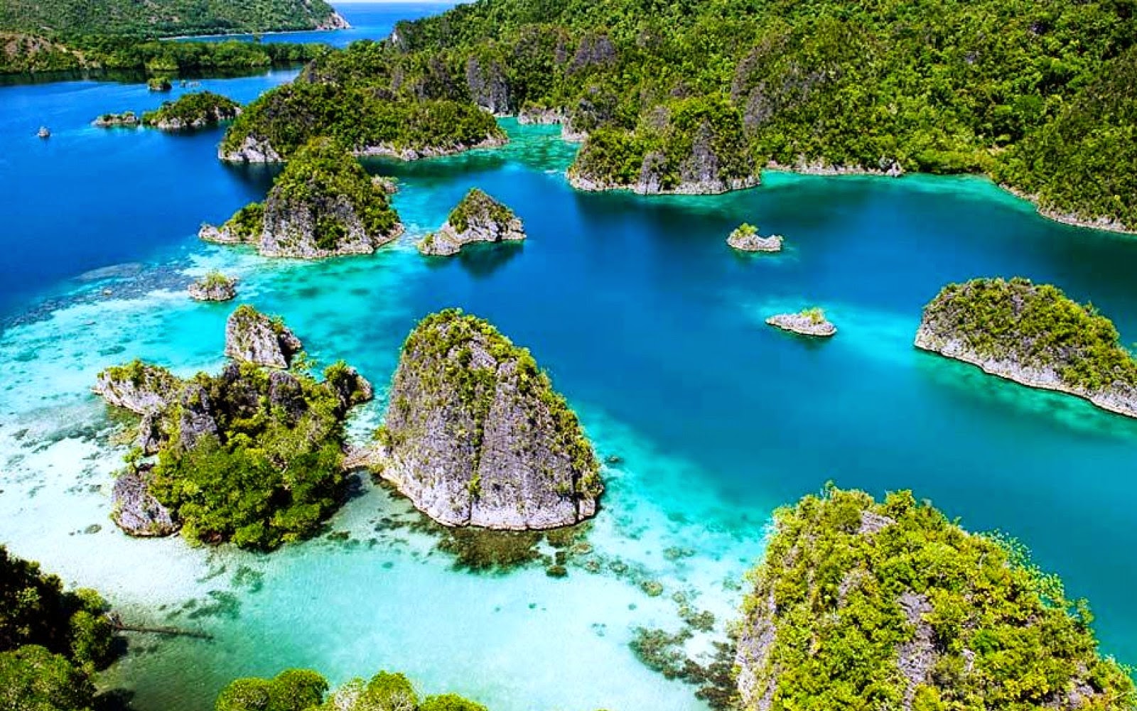 Raja Ampat Surga dibawah Laut Indonesia ~ Tika Putri's Blog