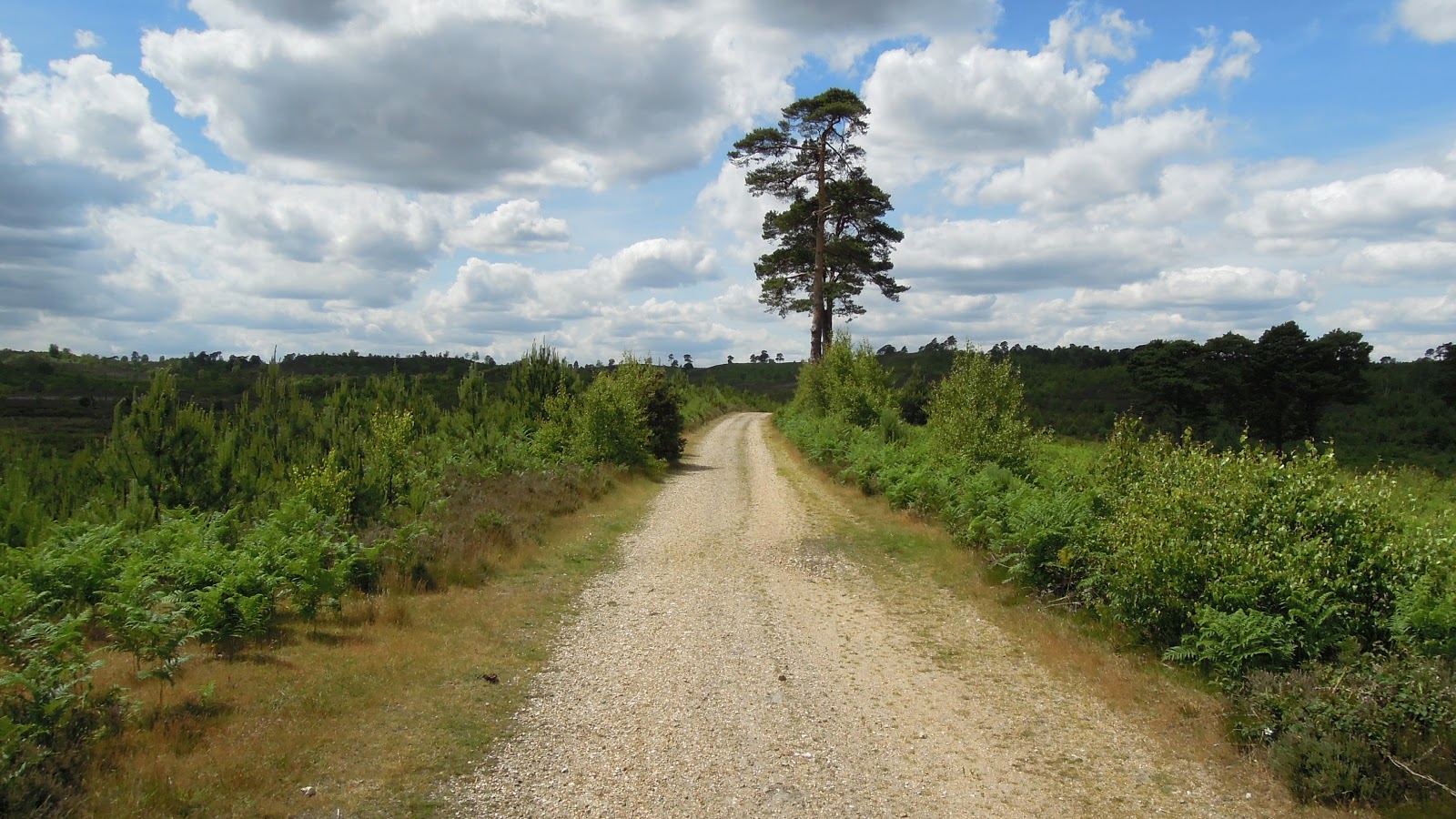 Ash Bash: Cycling Ash military ranges