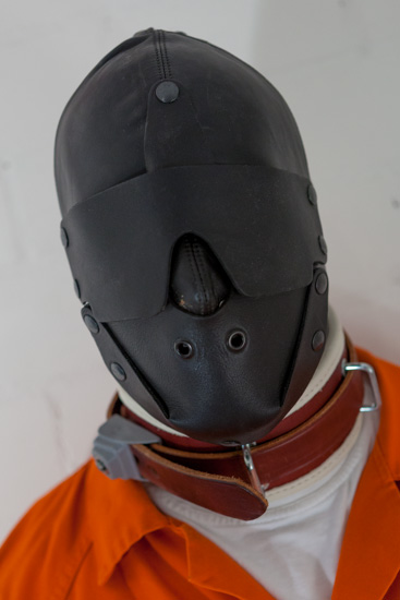 skINMATE: Leather Hood and Humane Restraints Collar