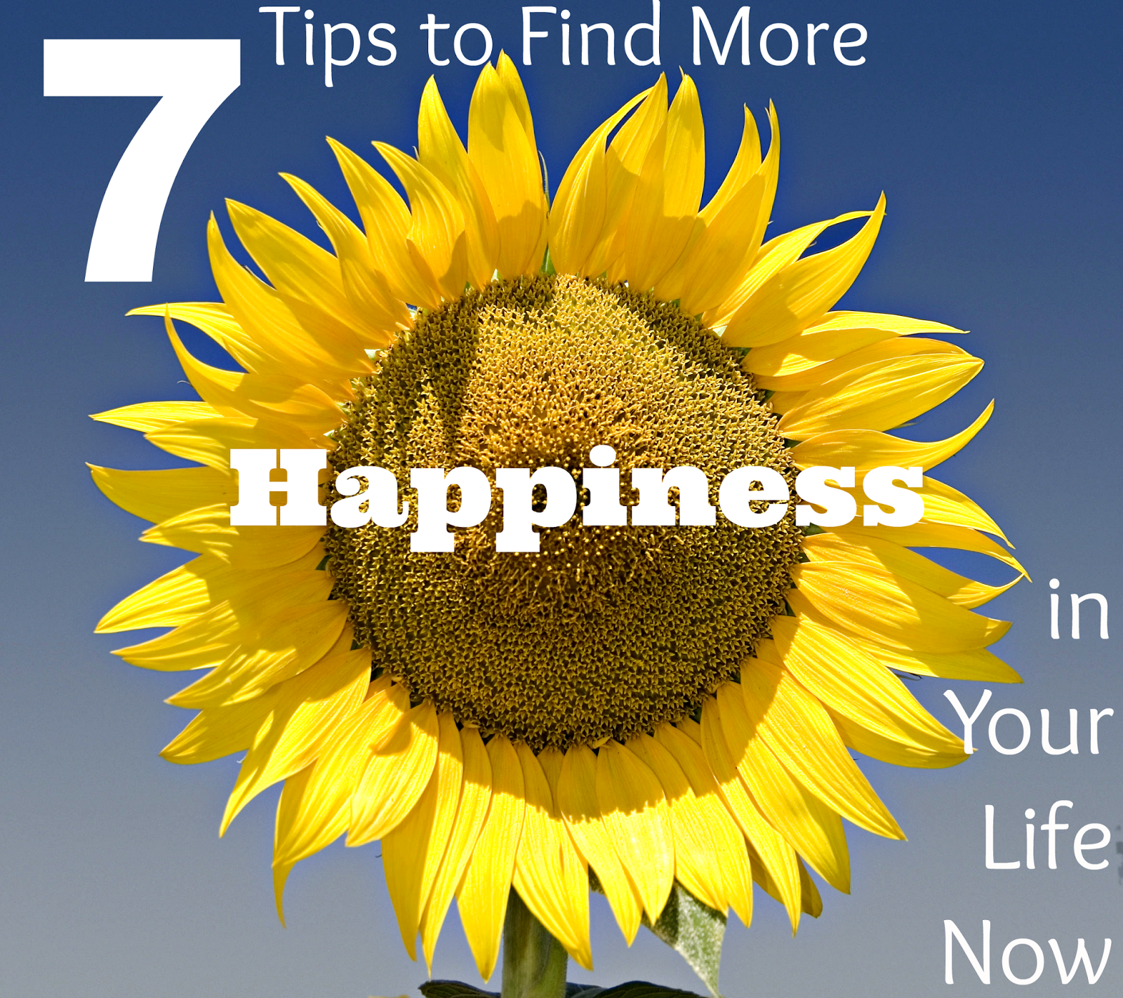 7 Tips to Find More Happiness in Your Life Now - MyThirtySpot