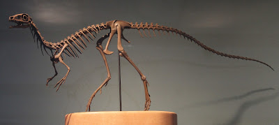 Prehistoric Beast of the Week: Compsognathus: Beast of the Week