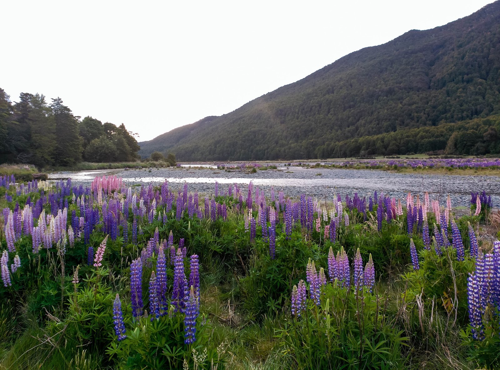 Más de un millón de mentiras: Ríos y flores