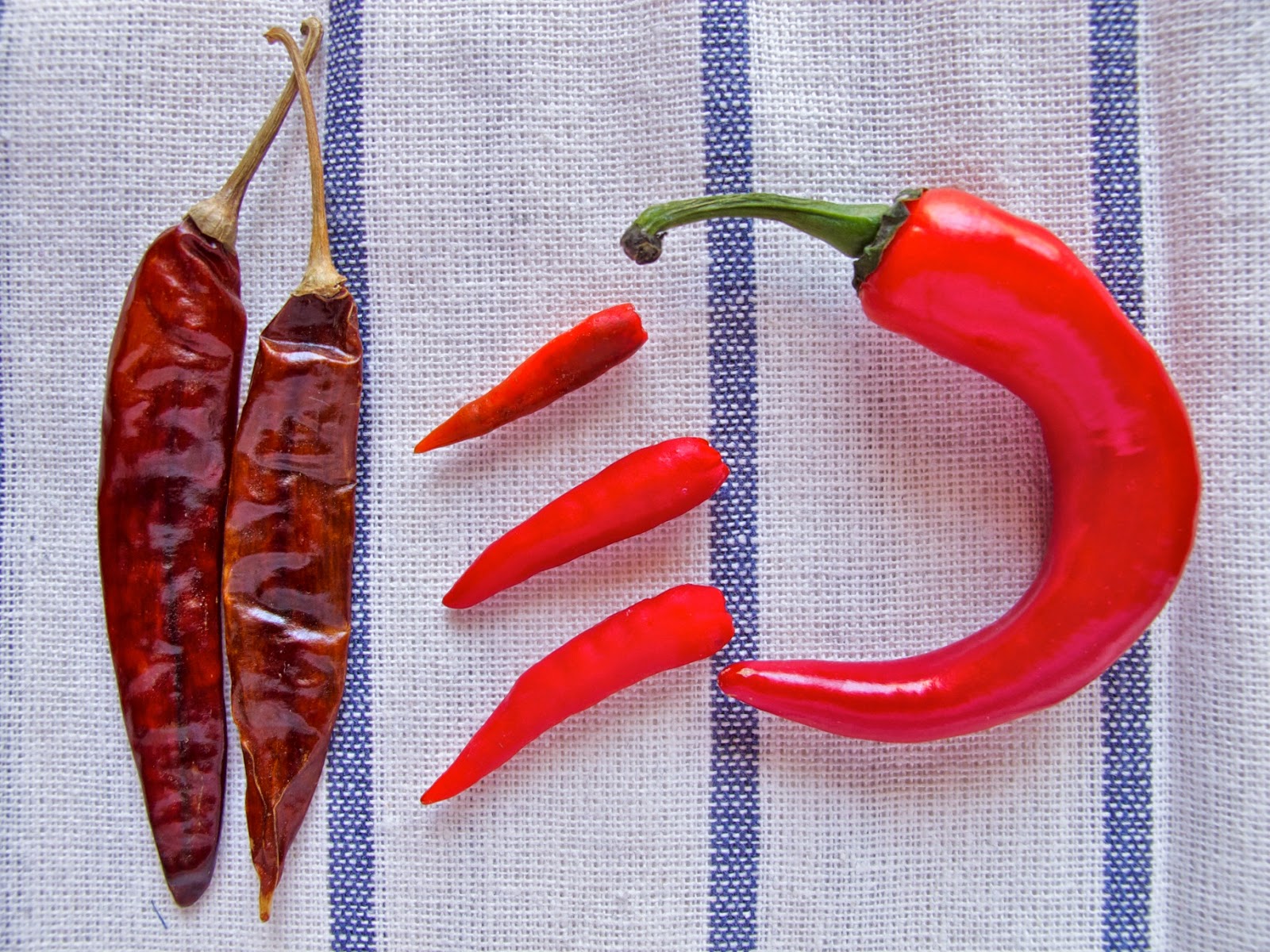 CUADERNOS DE COCINA ORIENTAL 2.0 : GUINDILLAS, manual de uso...
