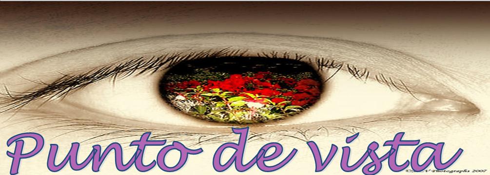 Punto de vista: diciembre 2012