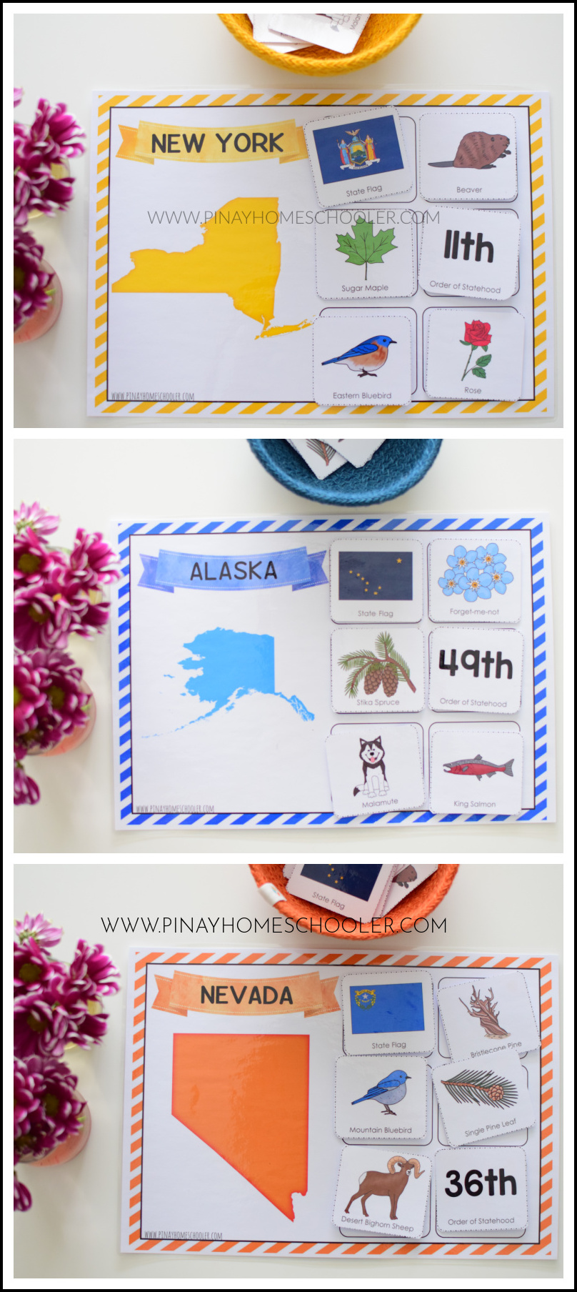 USA State Symbols Sorting Activities | The Pinay Homeschooler