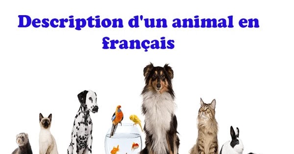 Description d'un animal