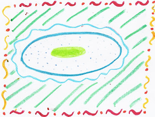 Everyday Biology: Unicellular Organisms