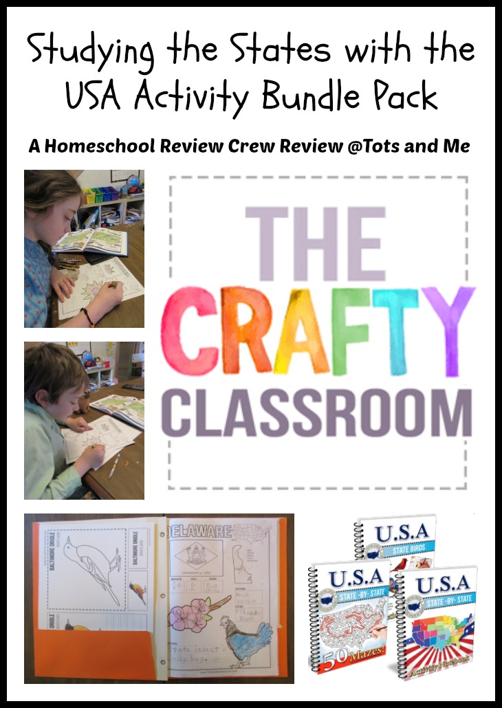 Tots and Me... Growing Up Together: Studying the States with the USA ...