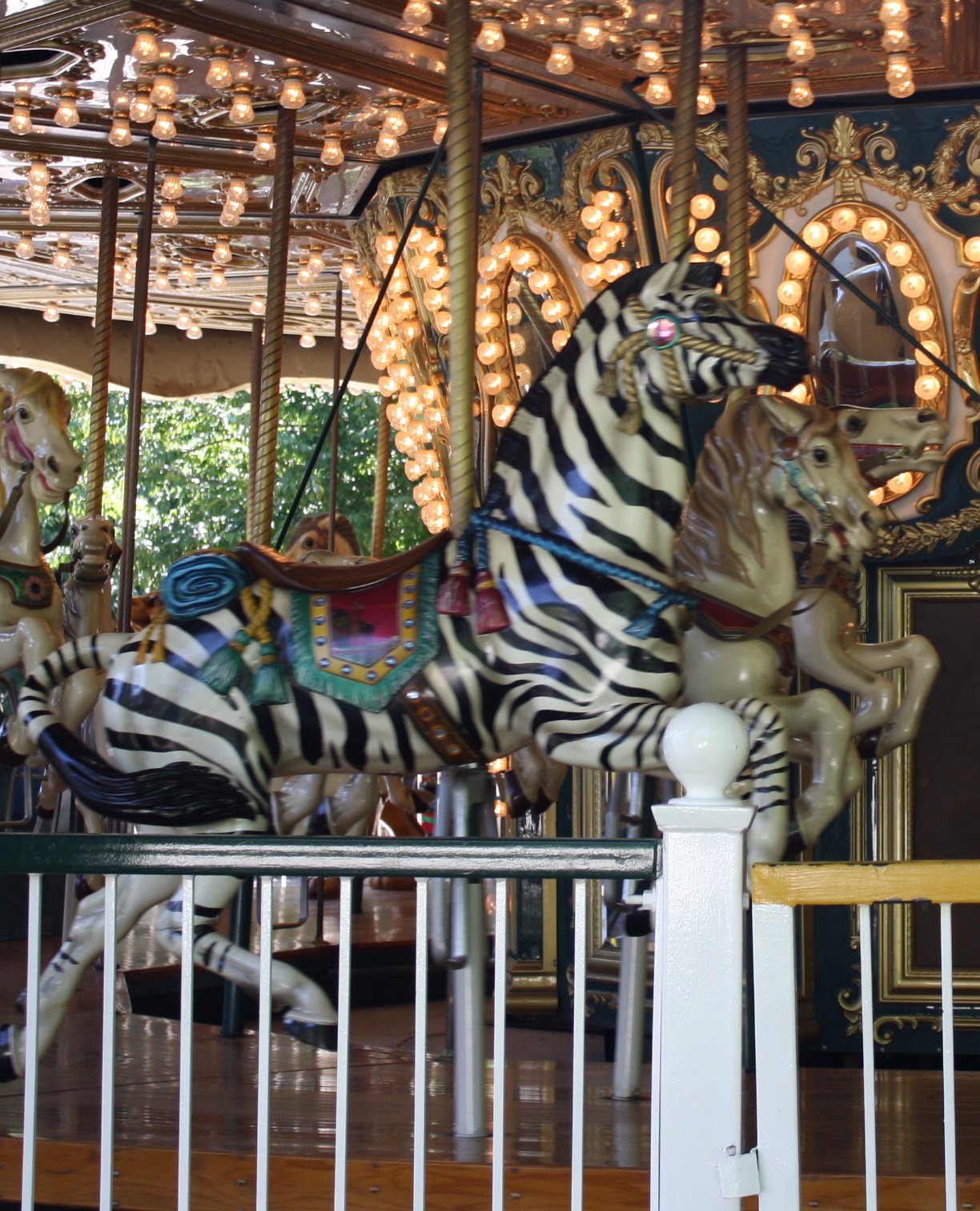 Mitchells on the trail: Duck Ride/Boone Cave