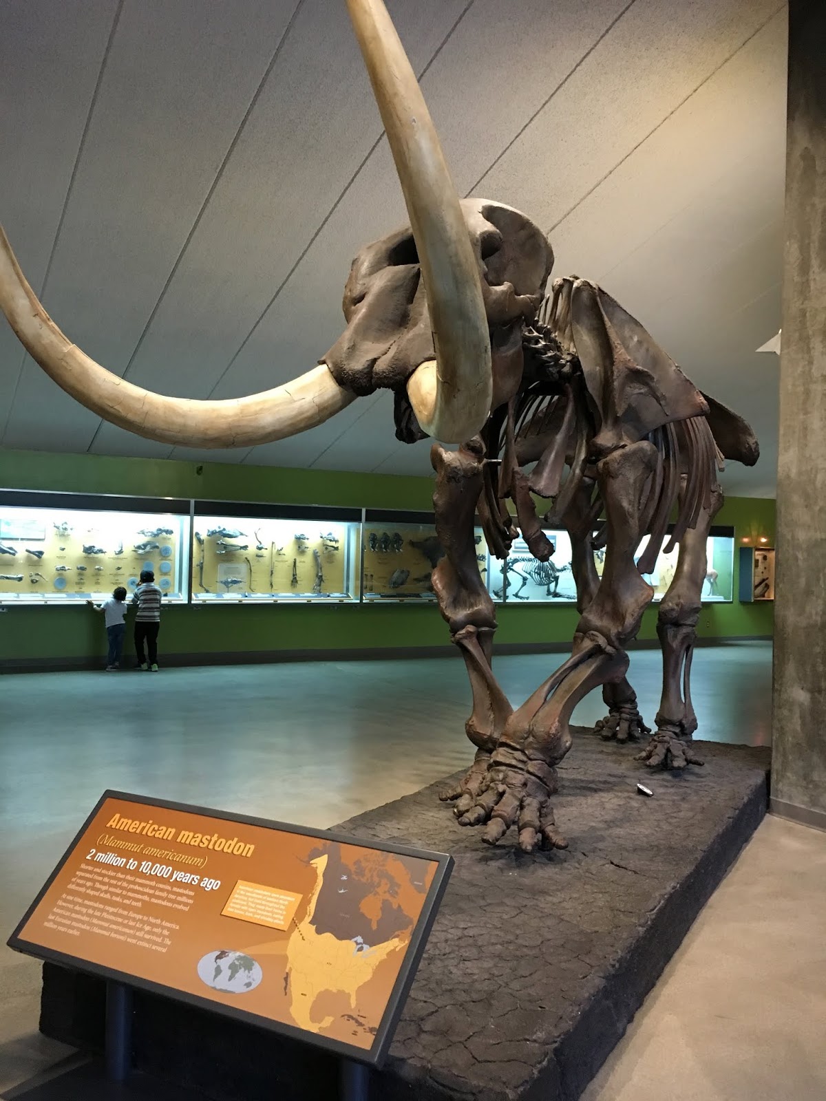 Experiencing Los Angeles: La Brea Tar Pits