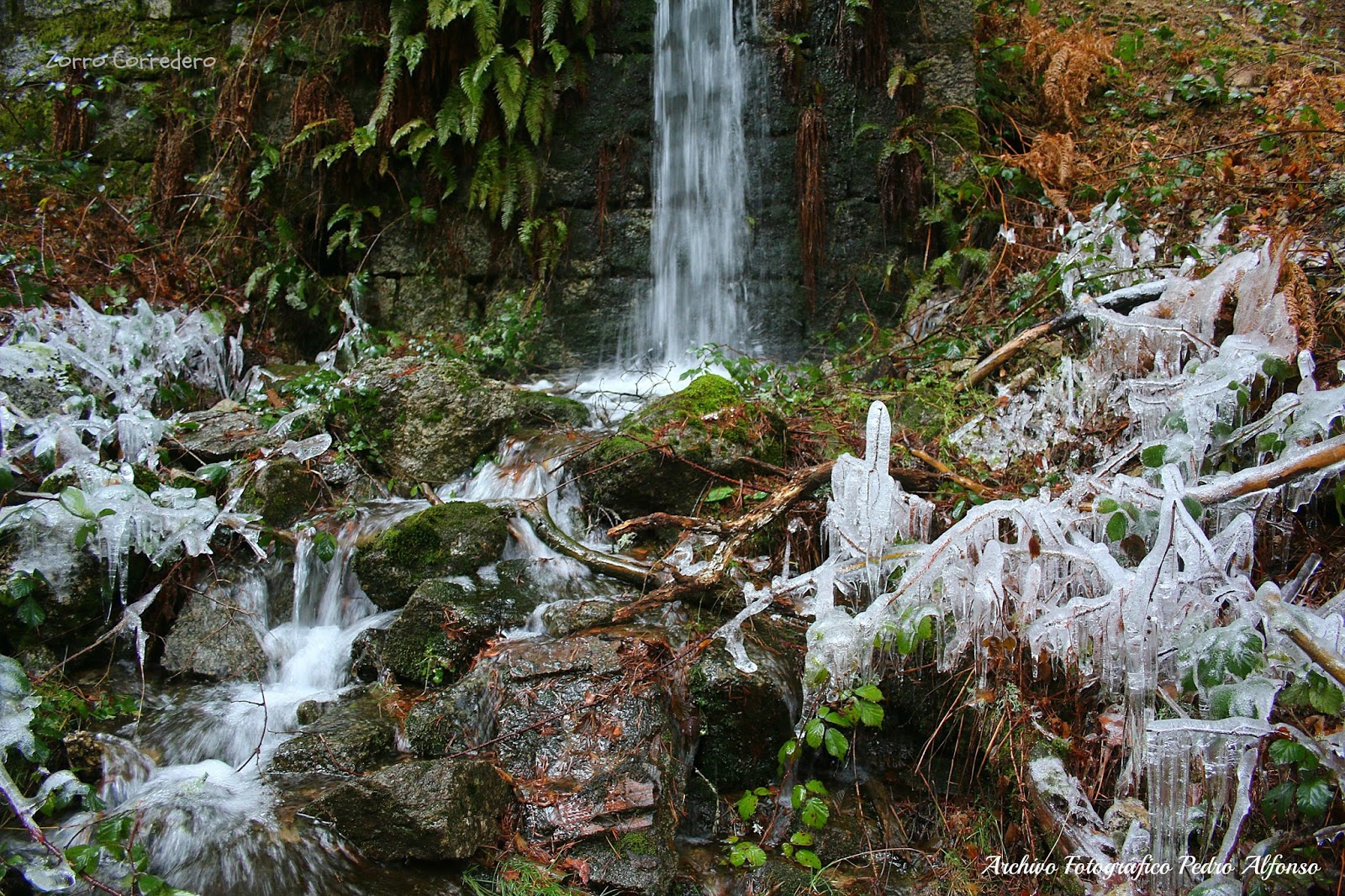 Zorro Corredero de Cadalso de los Vidrios: El Valle de la Fuenfría, el ...