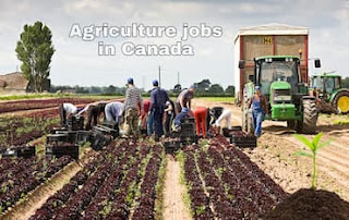Agriculture jobs in Canada - works4world