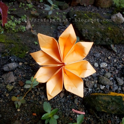 dottodot: Membuat Origami Bunga Merekah