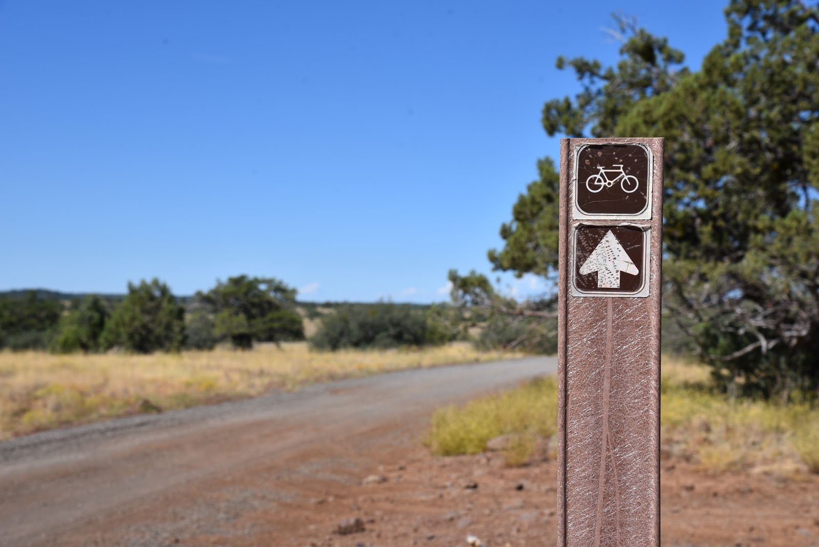 Arizona Hiking: SYCAMORE POINT TRAIL
