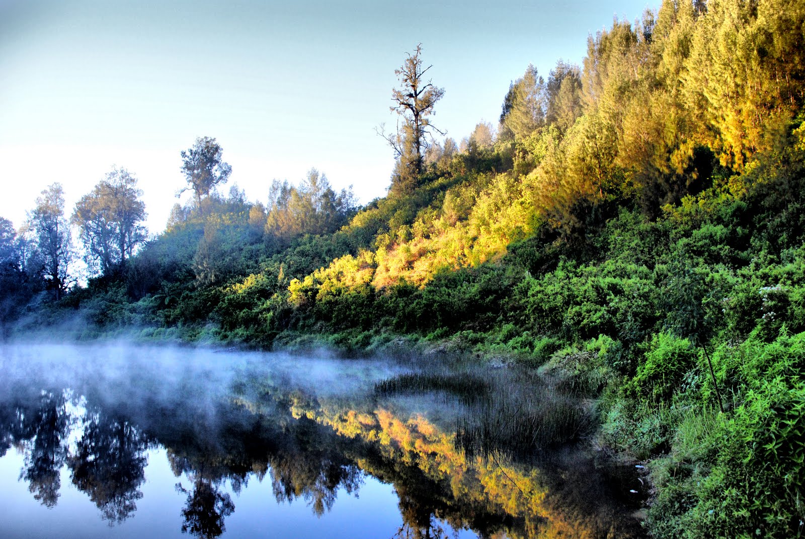 Arts Photographer: Ranu Regulo