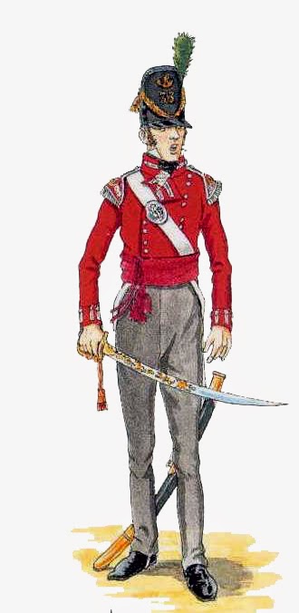 THE BRITISH ARE COMING!: 33rd Regiment of Foot (1st York West Riding ...