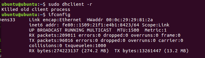 Hướng dẫn Release and Renew một IP (DHCP IP) trên Linux bằng Terminal