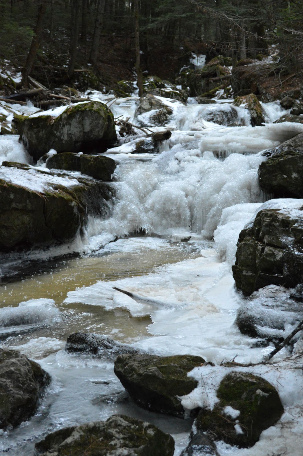 Marvelously Messy : A Marvelous Mess: Winter Walk!!!!