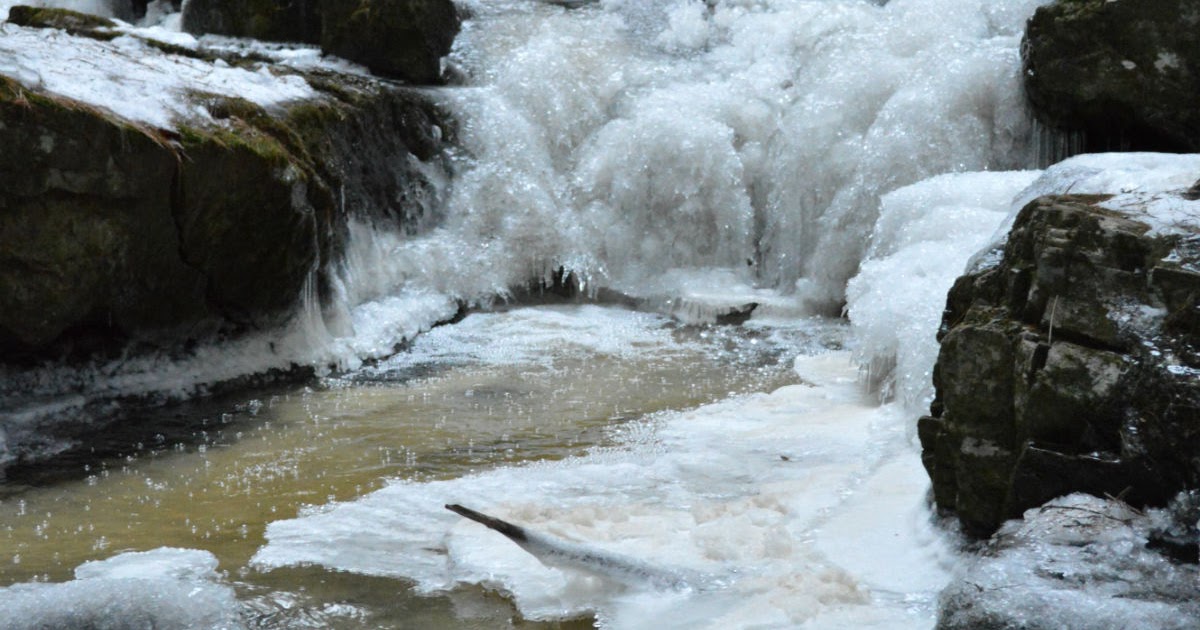 Marvelously Messy : A Marvelous Mess: Winter Walk!!!!