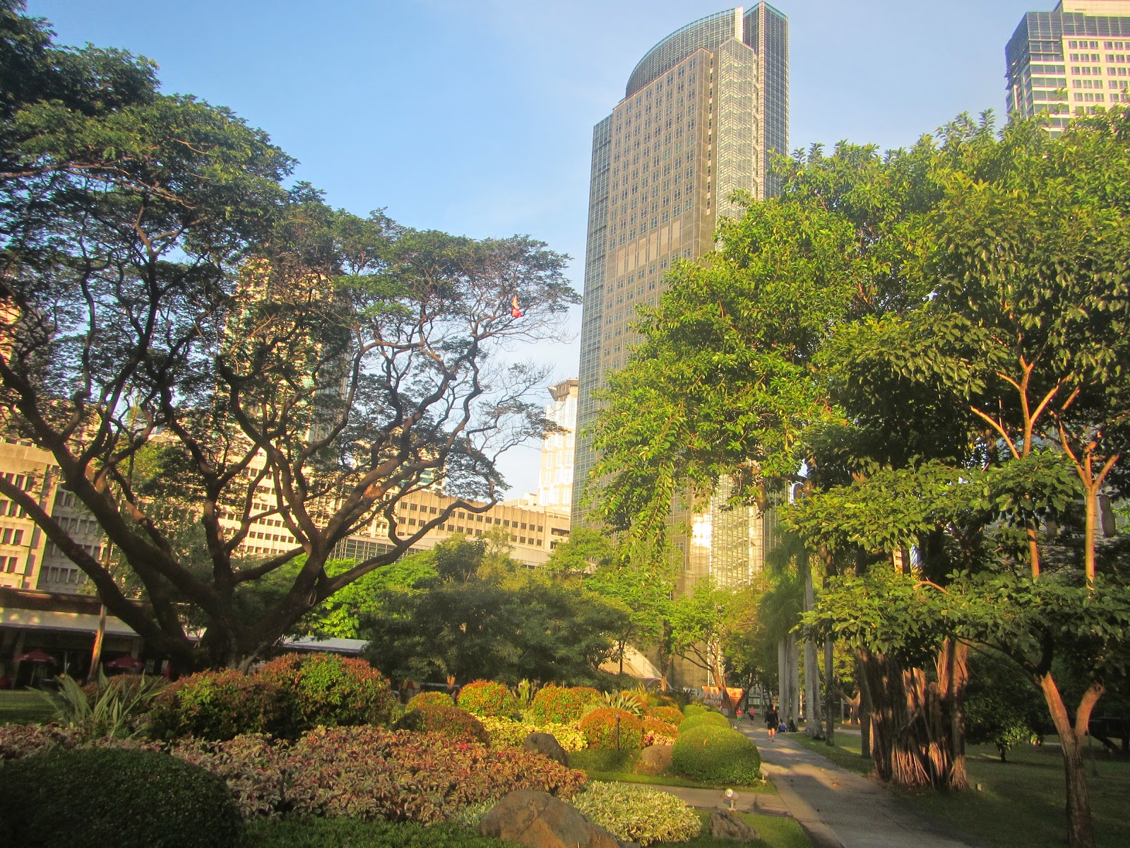LEXICAL CROWN: AYALA TRIANGLE GARDENS