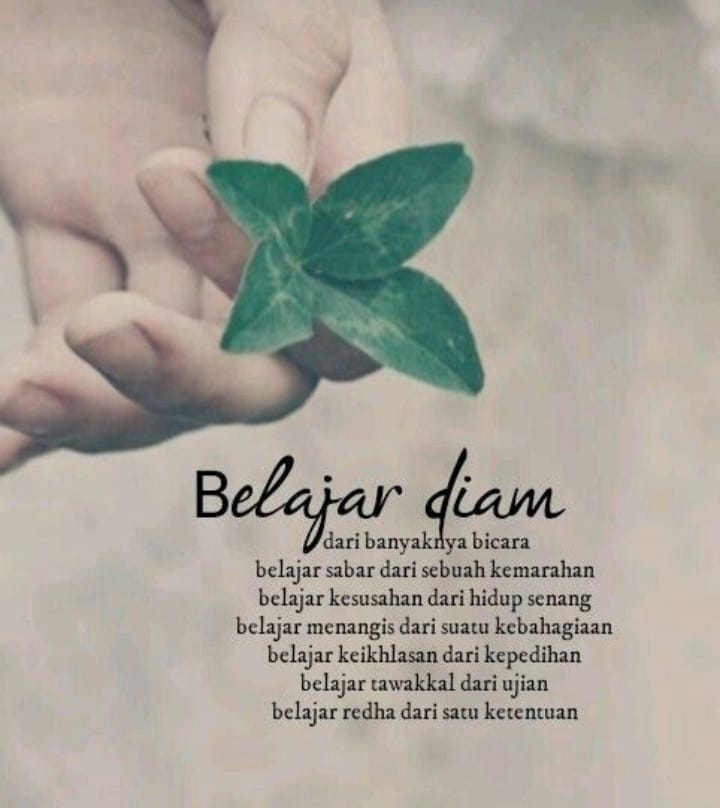 WORDLESS WEDNESDAY - DIAM