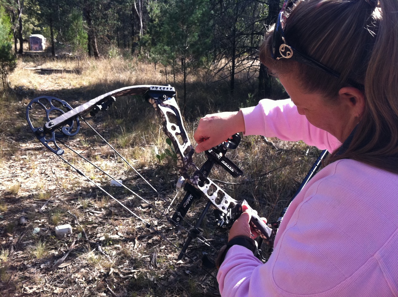 Jodi's Scraphaven: Preparation for the National IFAA Archery Titles....