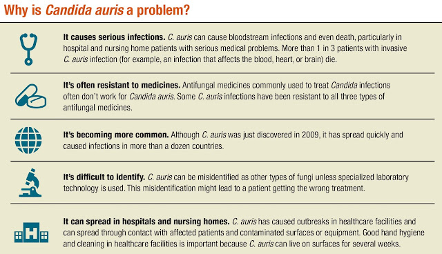 LDH Blog: Candida auris: A new fungus among us