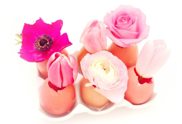 egg shell vase flower display