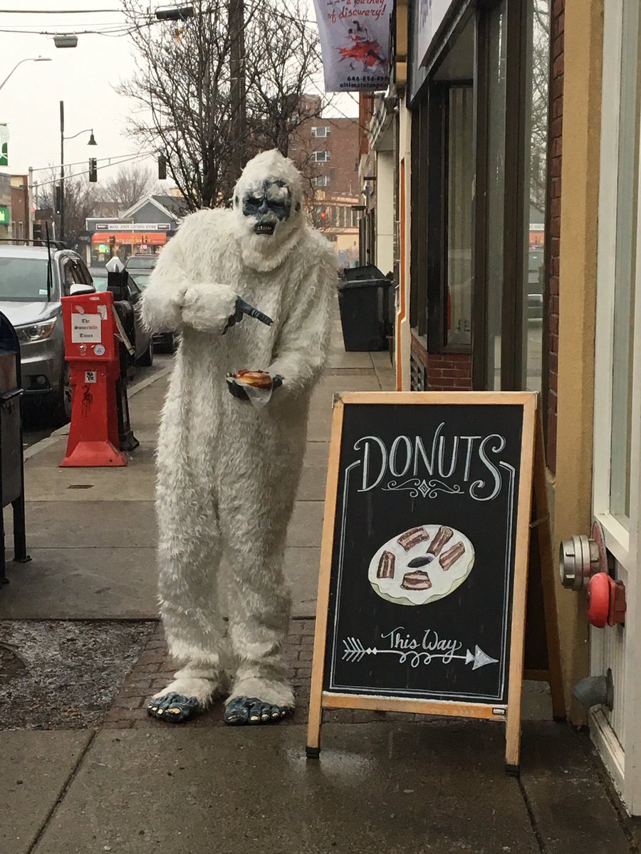 What Does a Yeti Look Like?